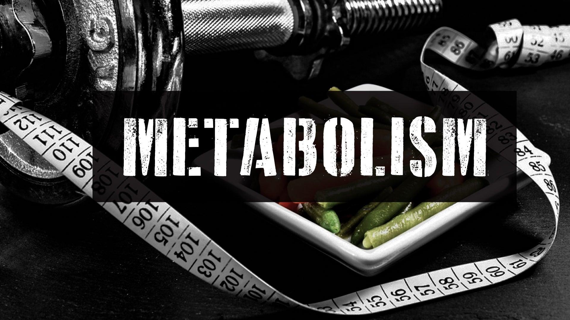 How The Metabolism Works - Part 2